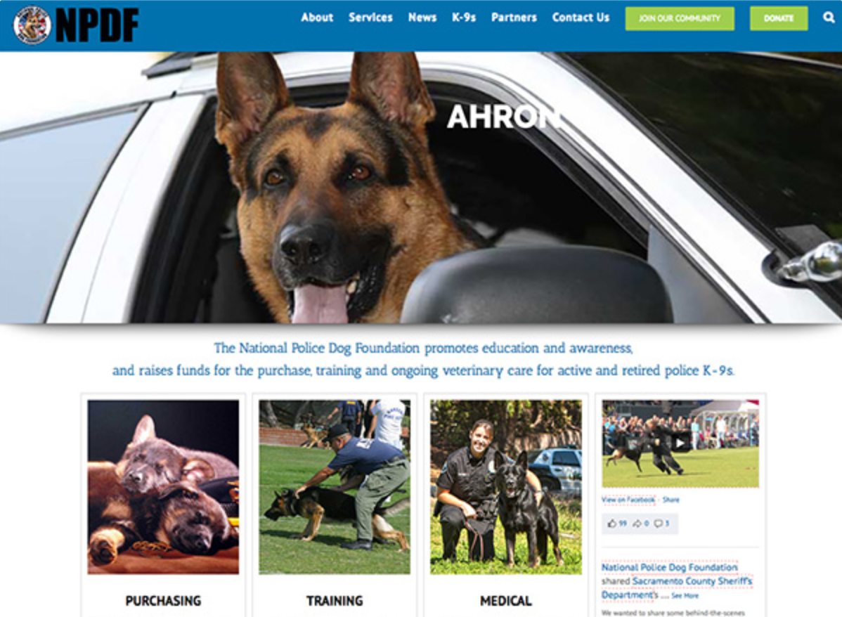 Services - PMF Consulting Group